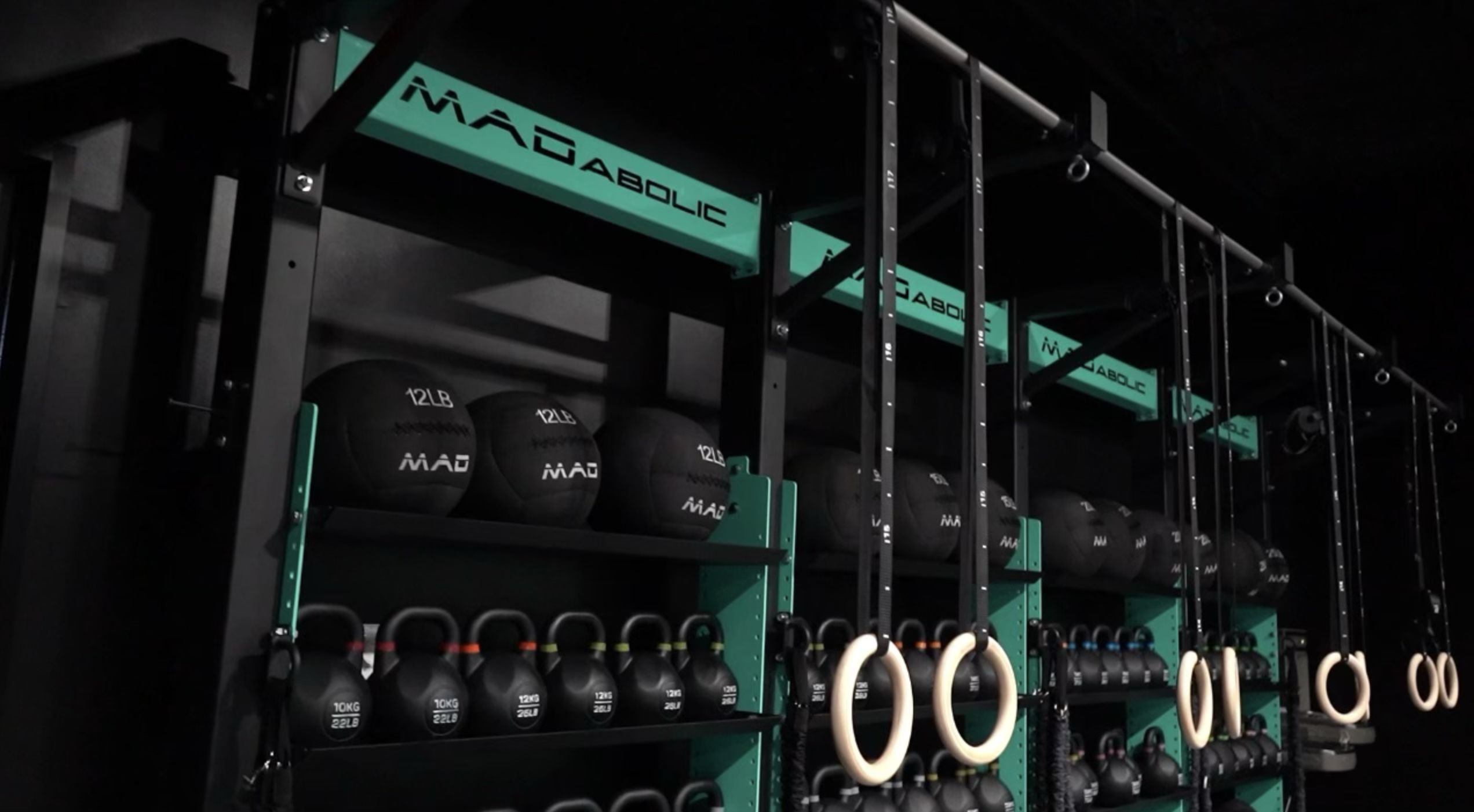 BeaverFit and MADabolic Push Boundaries with Custom Training Solution ...
